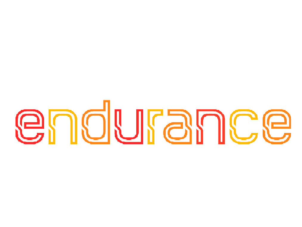 ENDURANCE project – Enterpreneurial Capacity-building for Sport ...