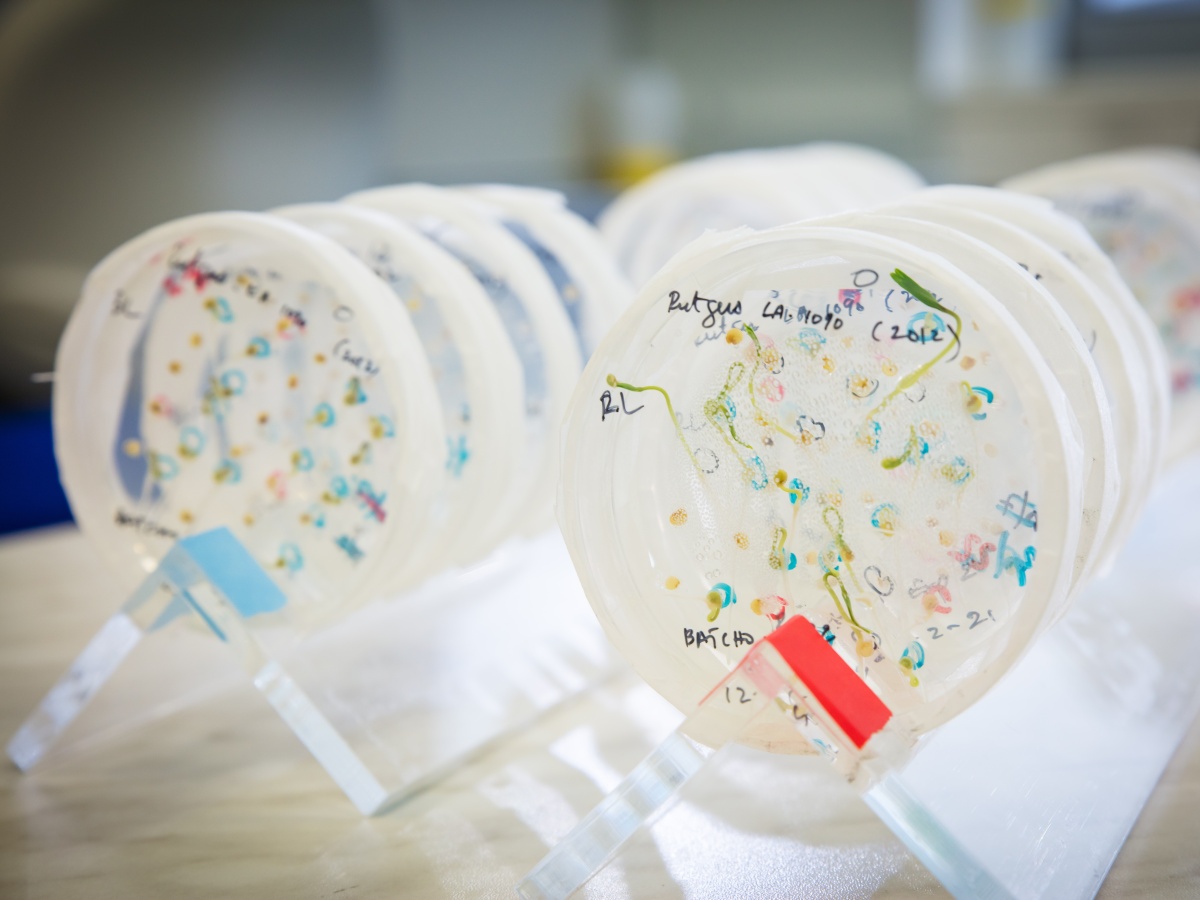 Student Anna Hýsková will participate in the prestigious international ...