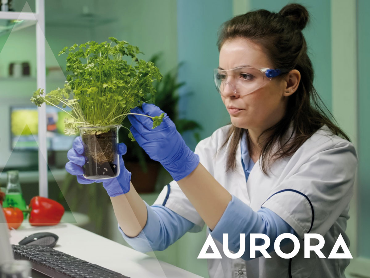 Aurora supports four UP projects on international science collaboration ...