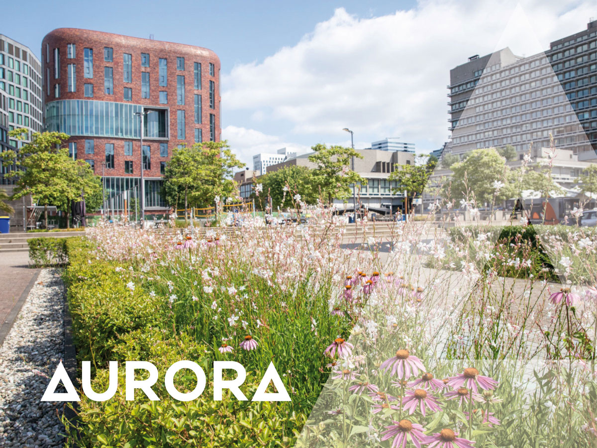 Představujeme partnery v Auroře: Vrije Universiteit Amsterdam: Žurnál ...